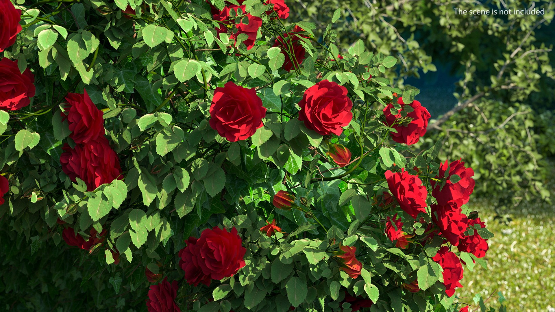 Branch curly roses 3D model - TurboSquid 1618814