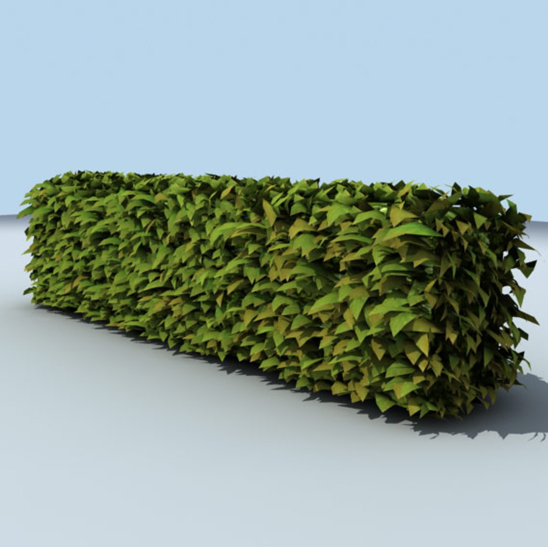 hedge architectural leafs 3d model