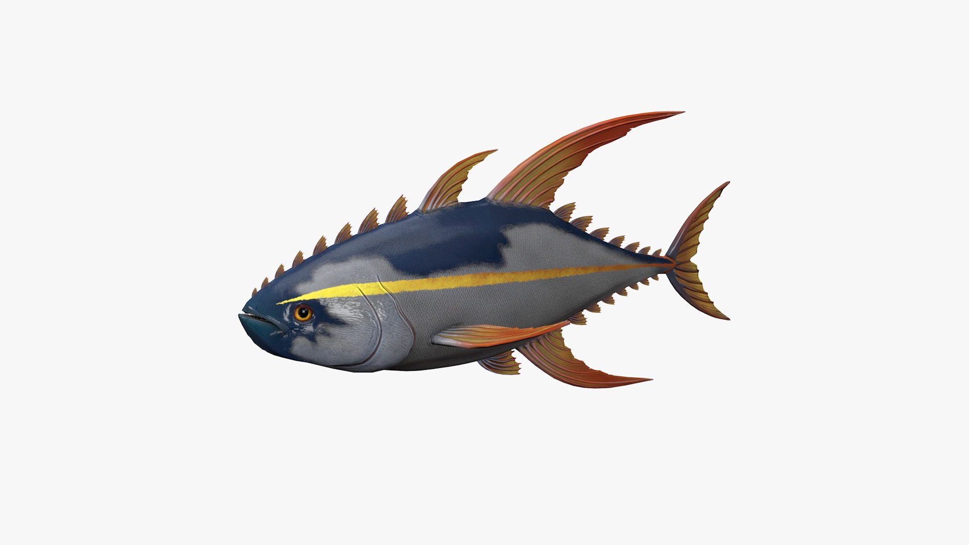 3D Tuna Fish Model - TurboSquid 2351920