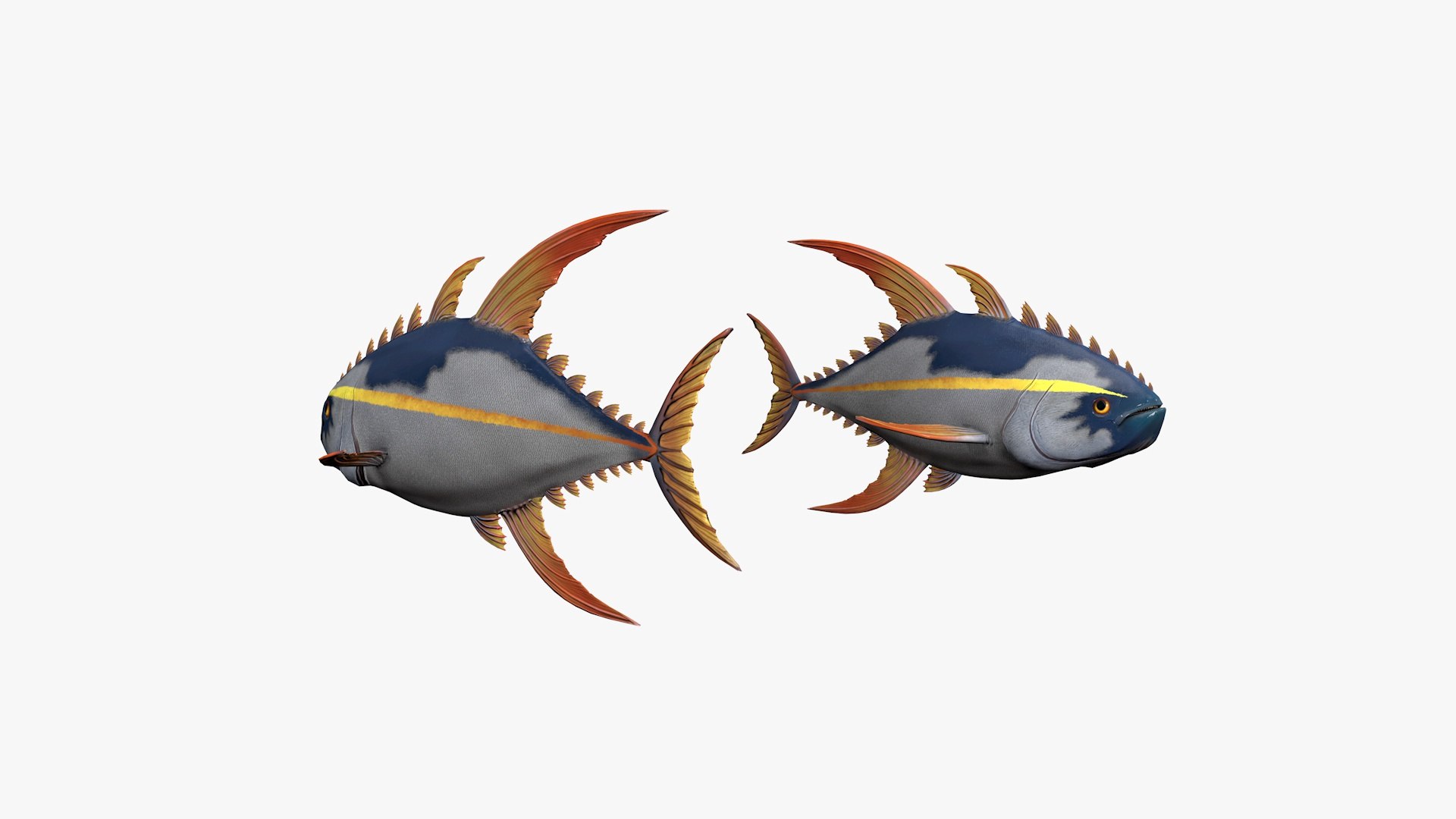 3D Tuna Fish Model - TurboSquid 2351920