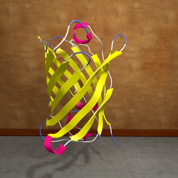 green fluorescent protein gfp 3d model