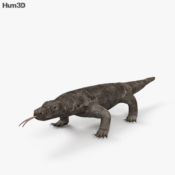 Komodo Dragon 3D Models for Download | TurboSquid