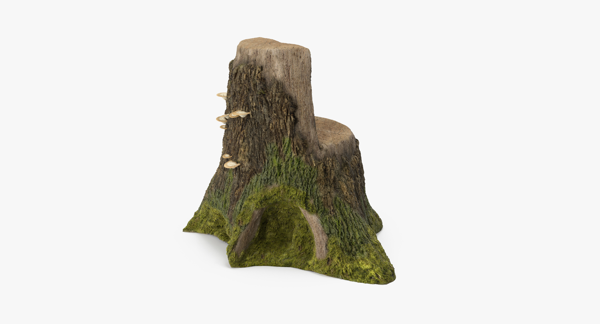 tree stumps 3d model