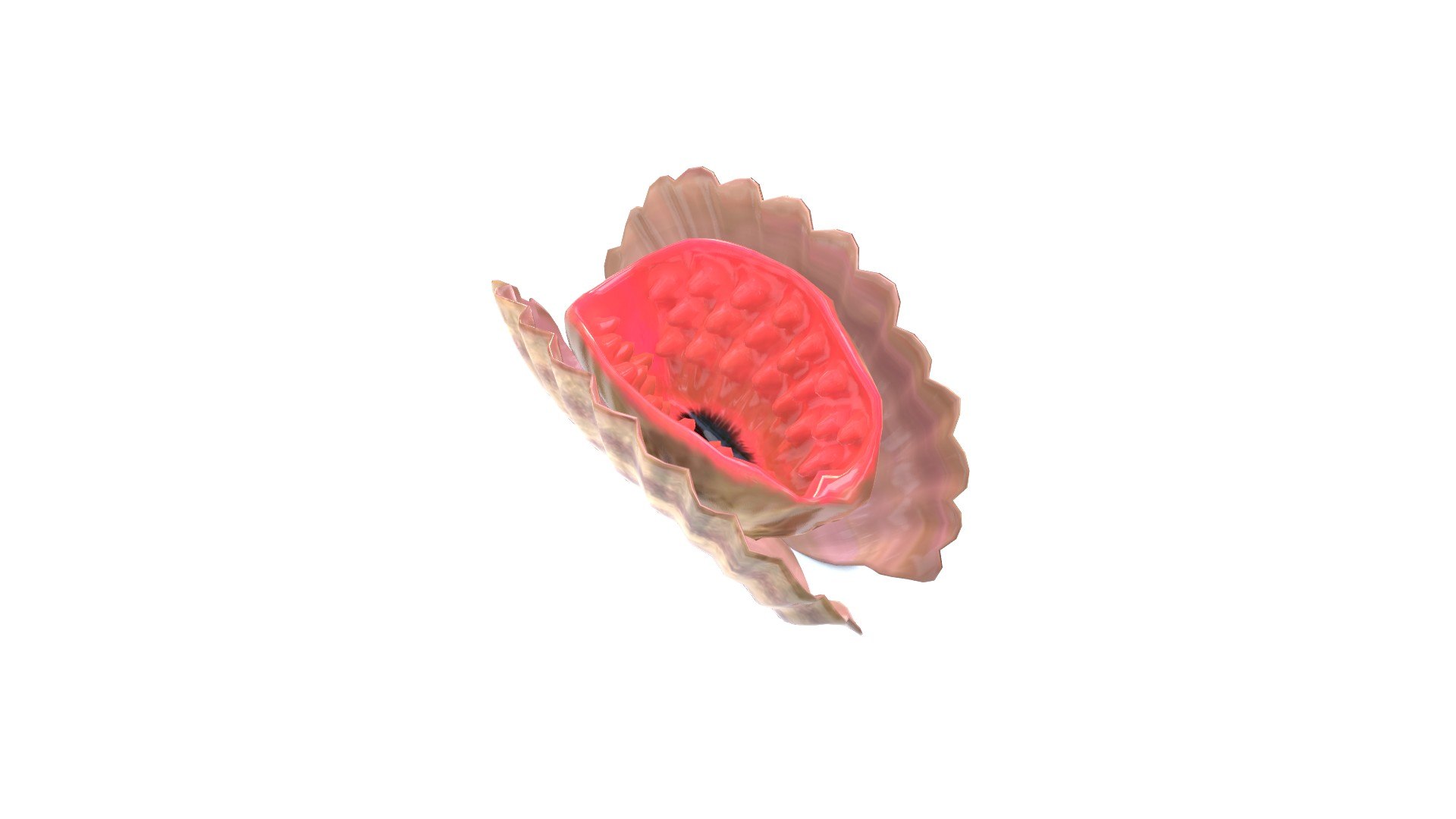 3D seashell monster - TurboSquid 2097584