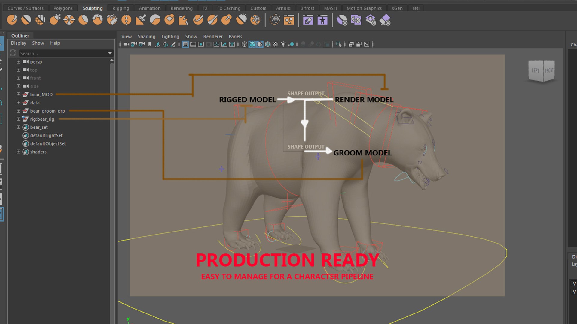 3D Bear Rig Animation Character - TurboSquid 1354894