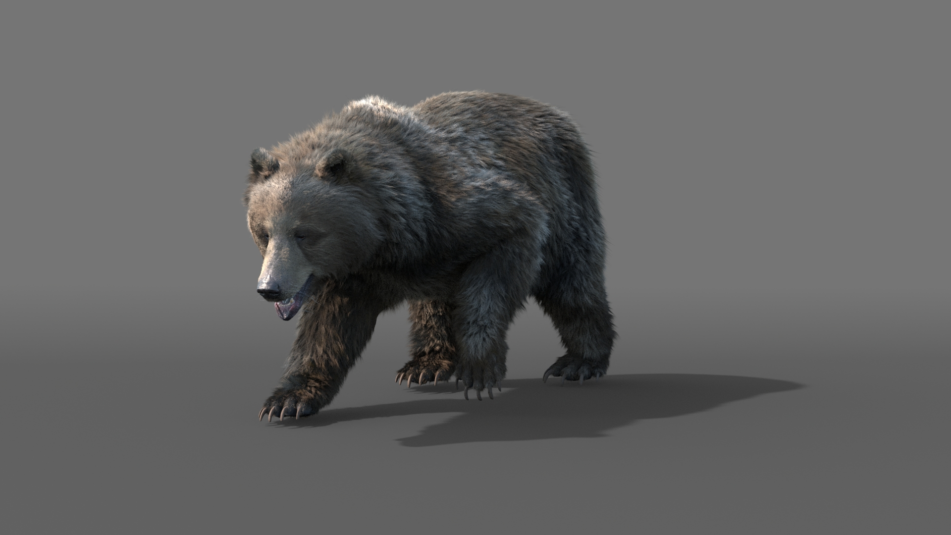 3D Bear Rig Animation Character - TurboSquid 1354894