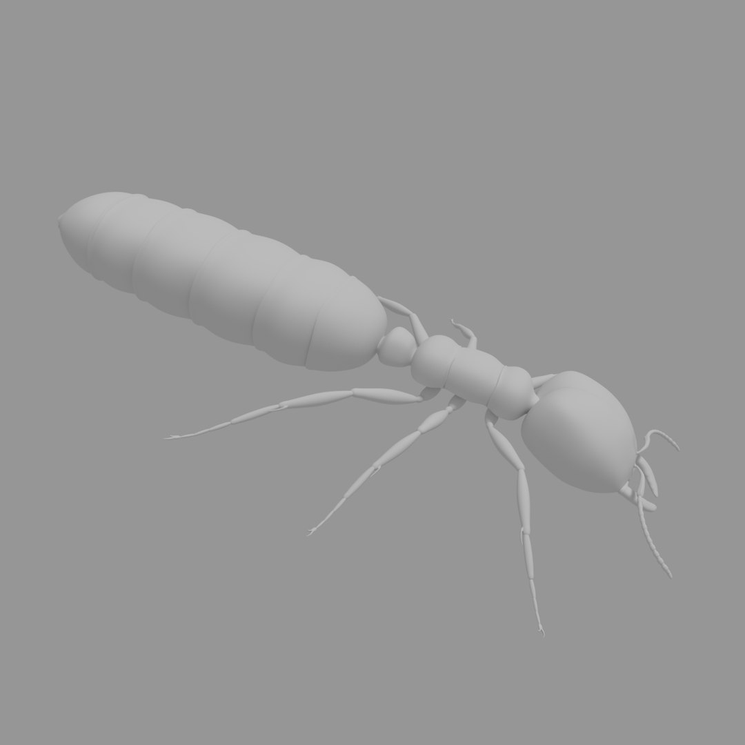 3D Army Ant Queen - TurboSquid 1206316