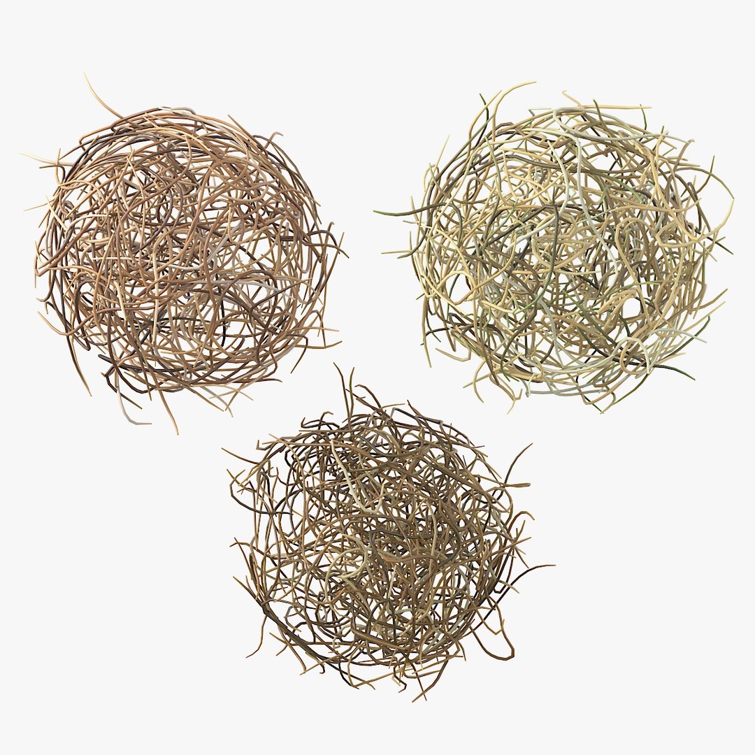 Cartoon Tumbleweed Collection 3D Model - TurboSquid 2052565