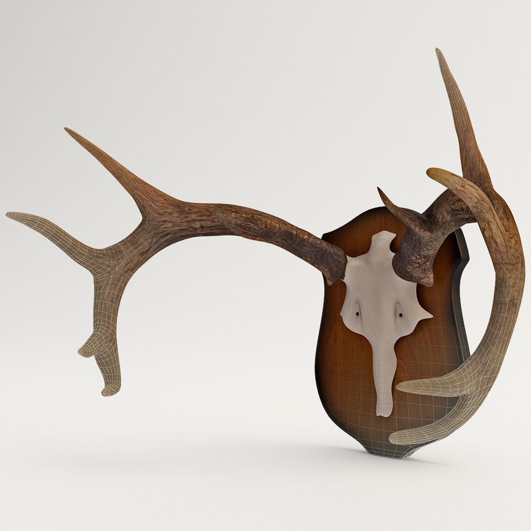 3d model mounted antlers