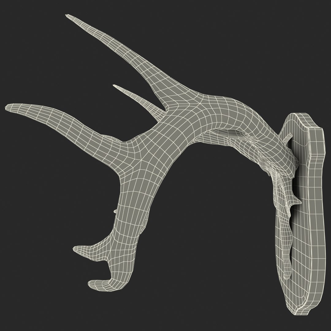 3d Model Mounted Antlers