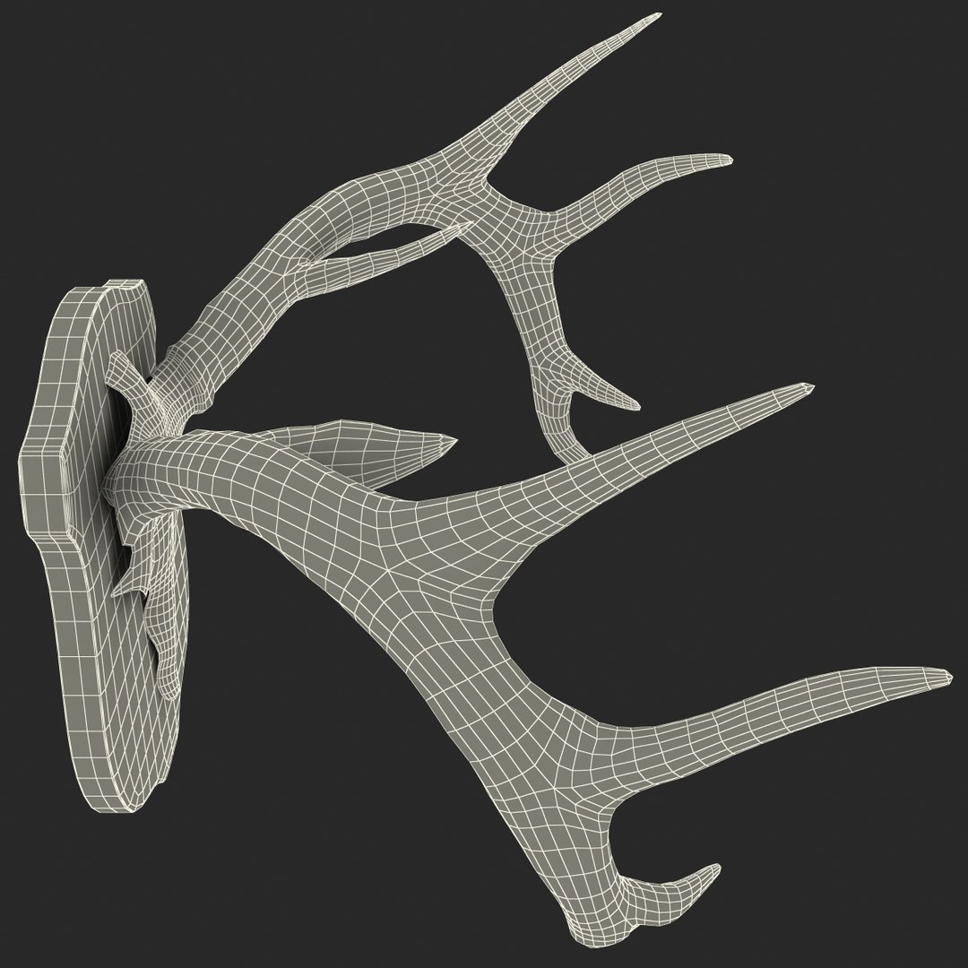 3d Model Mounted Antlers