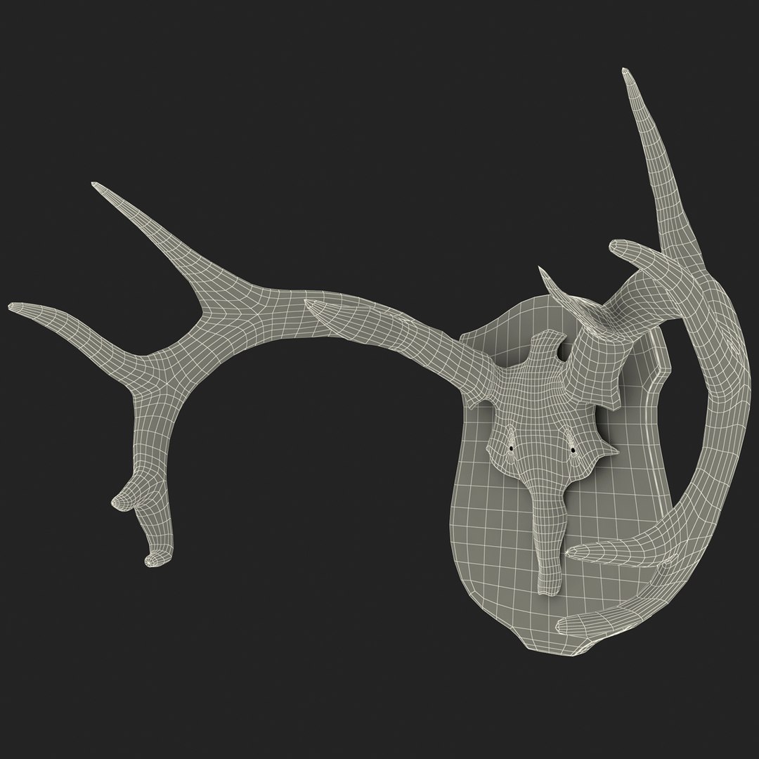 3d Model Mounted Antlers