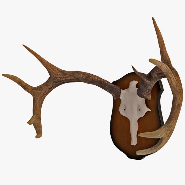 3D Antlers Models | TurboSquid