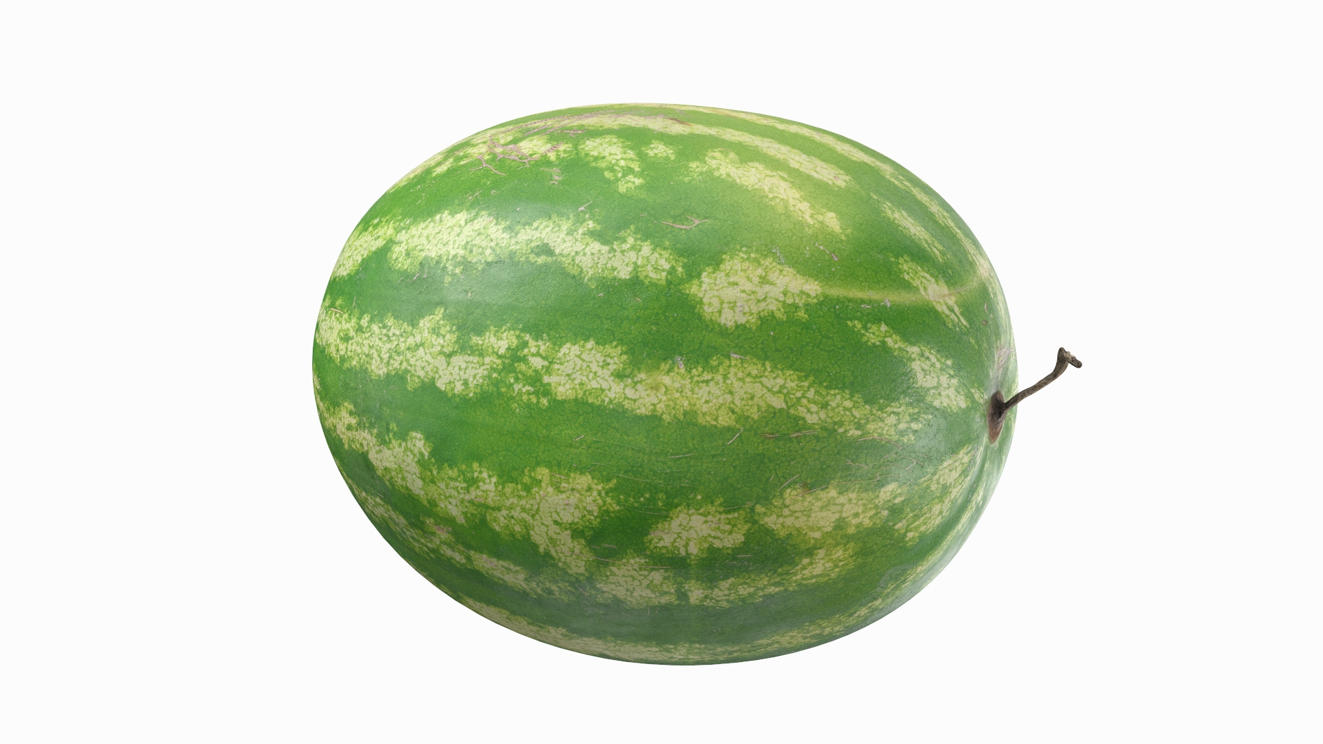 Watermelon 3D Model - TurboSquid 1980834