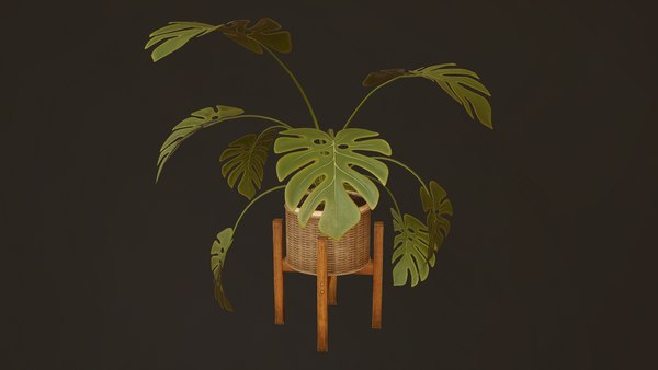 3D Monstera Plant - PBR Game Ready - TurboSquid 1950478