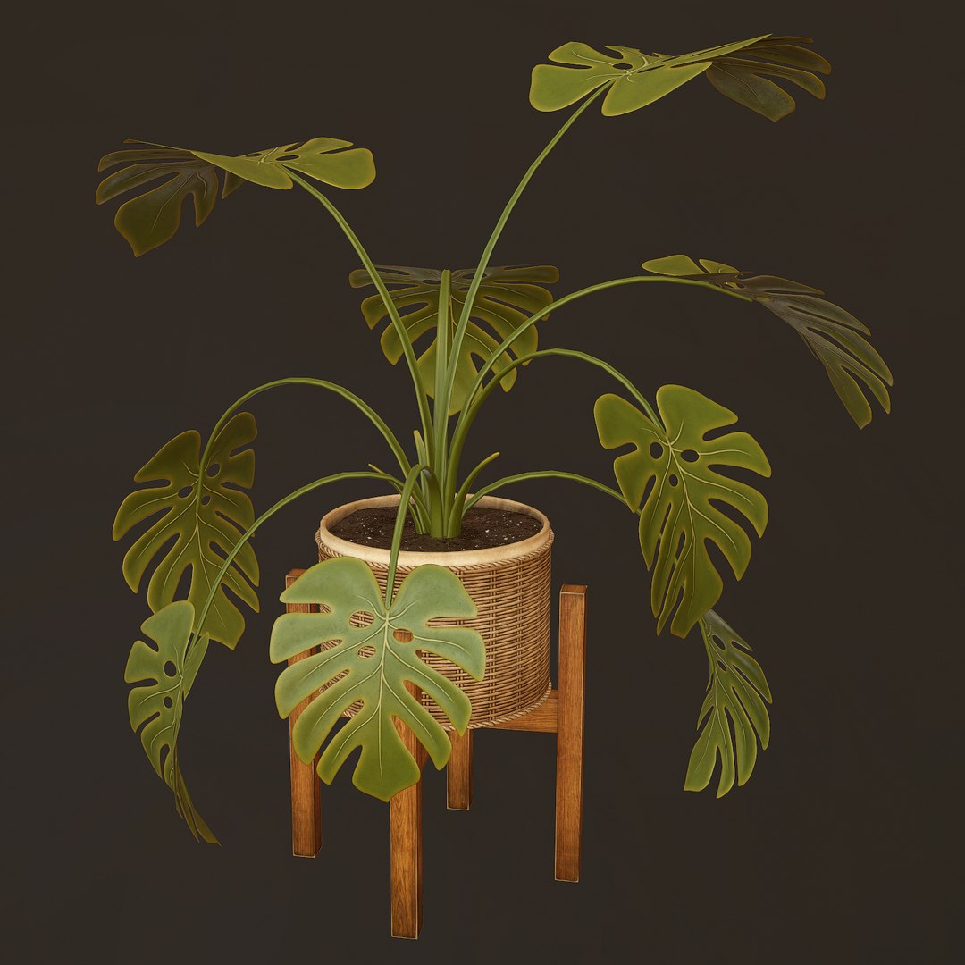 3D Monstera Plant - PBR Game Ready - TurboSquid 1950478