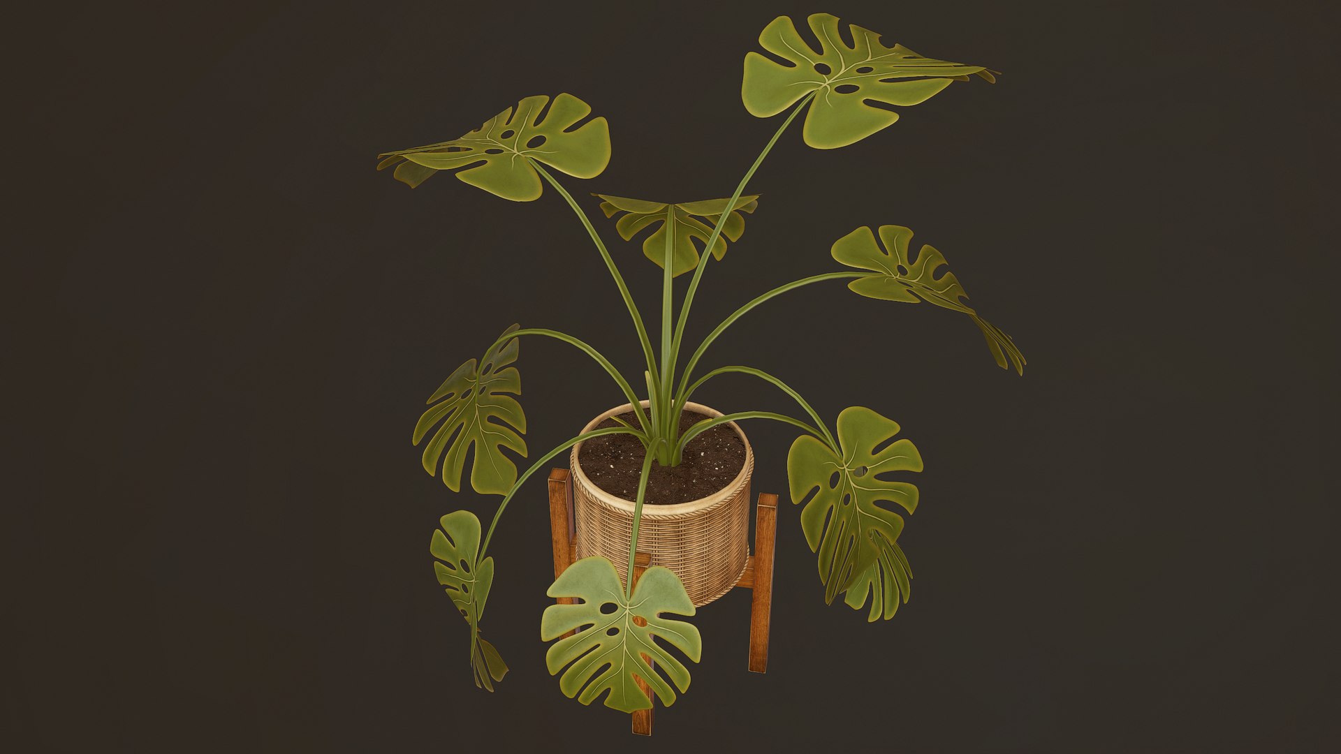 3D Monstera Plant - PBR Game Ready - TurboSquid 1950478