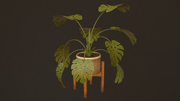 3D Monstera Plant - PBR Game Ready - TurboSquid 1950478