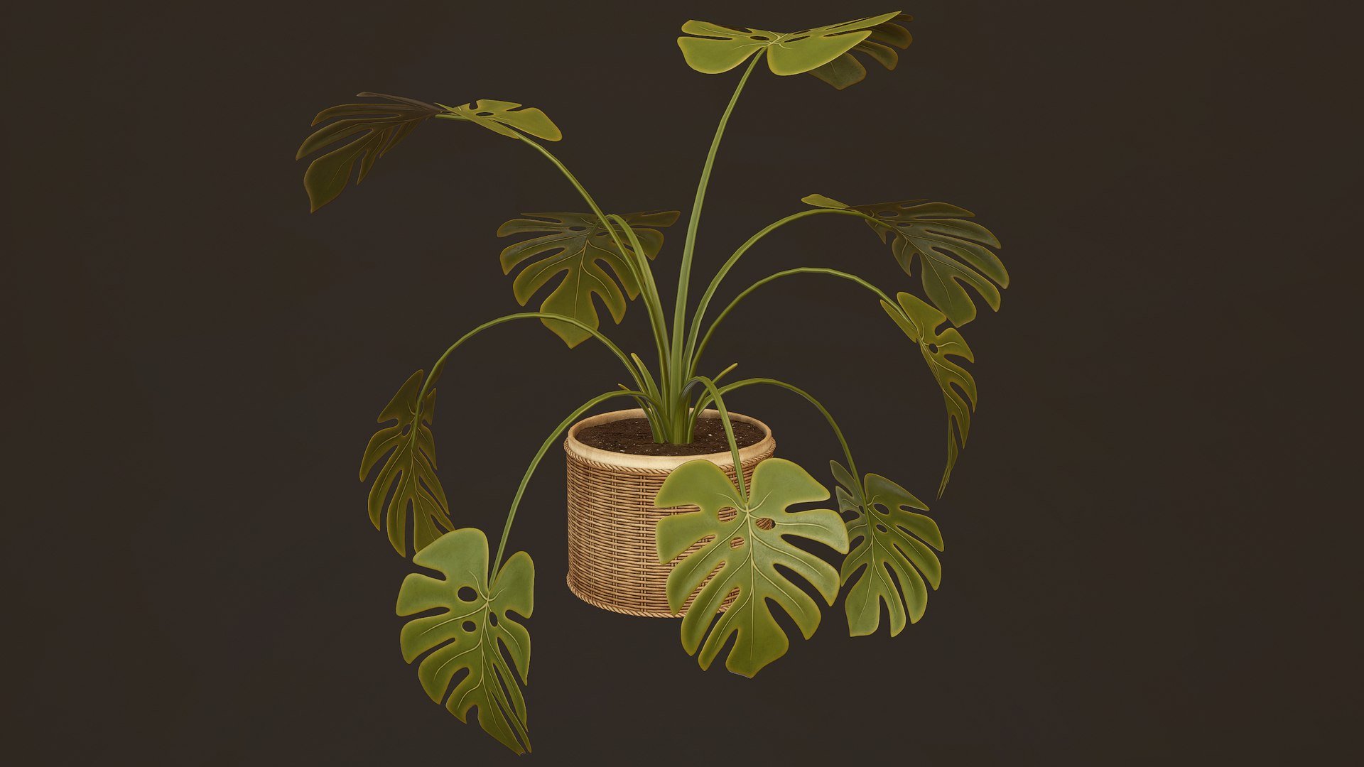 3D Monstera Plant - PBR Game Ready - TurboSquid 1950478