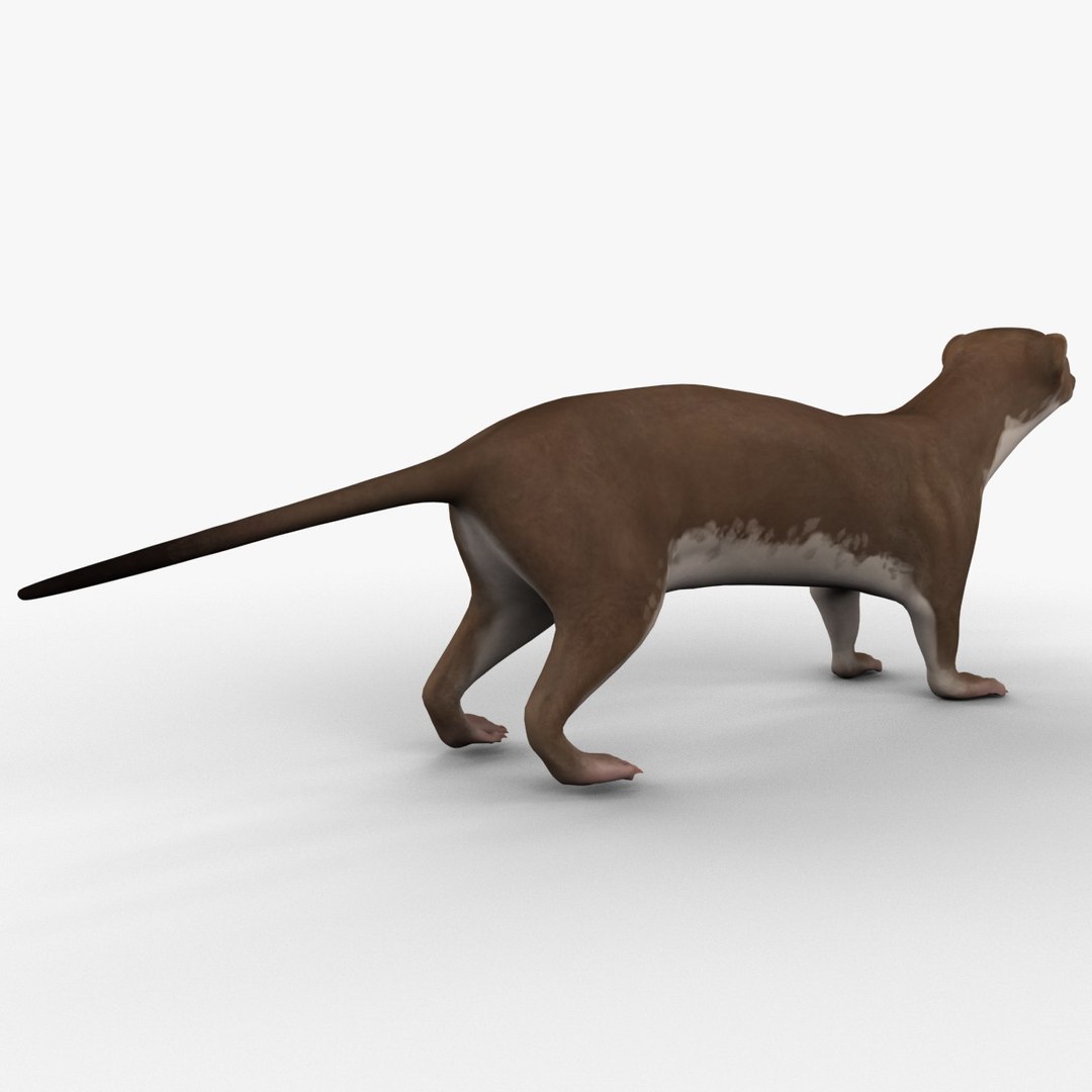 Weasel 3d Max