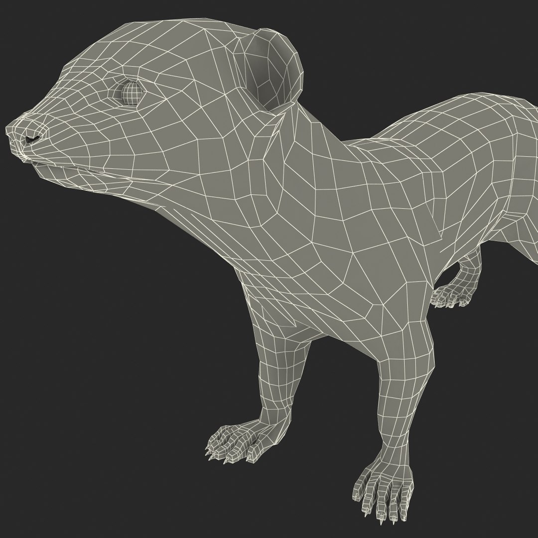weasel 3d max