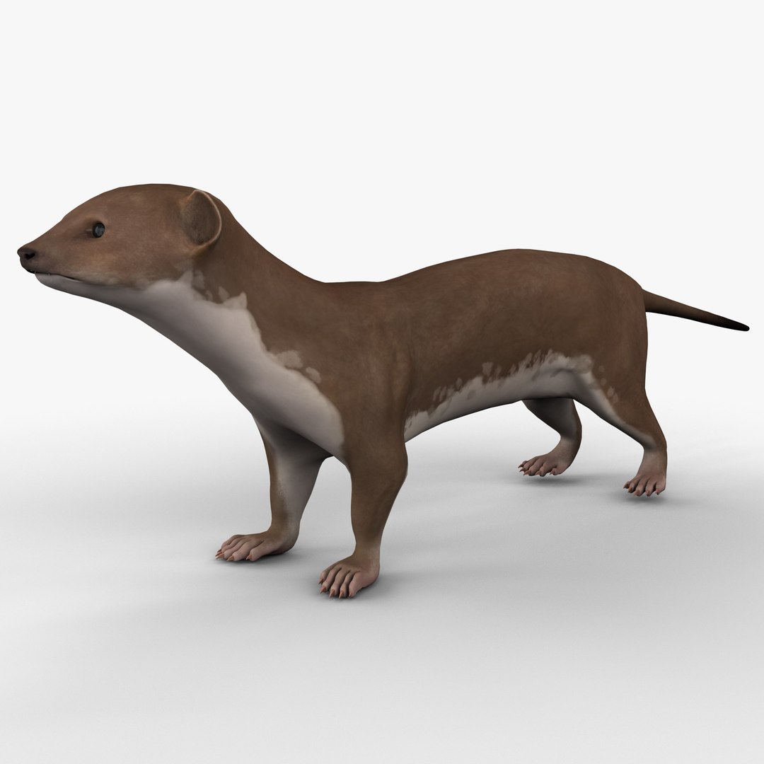 weasel 3d max