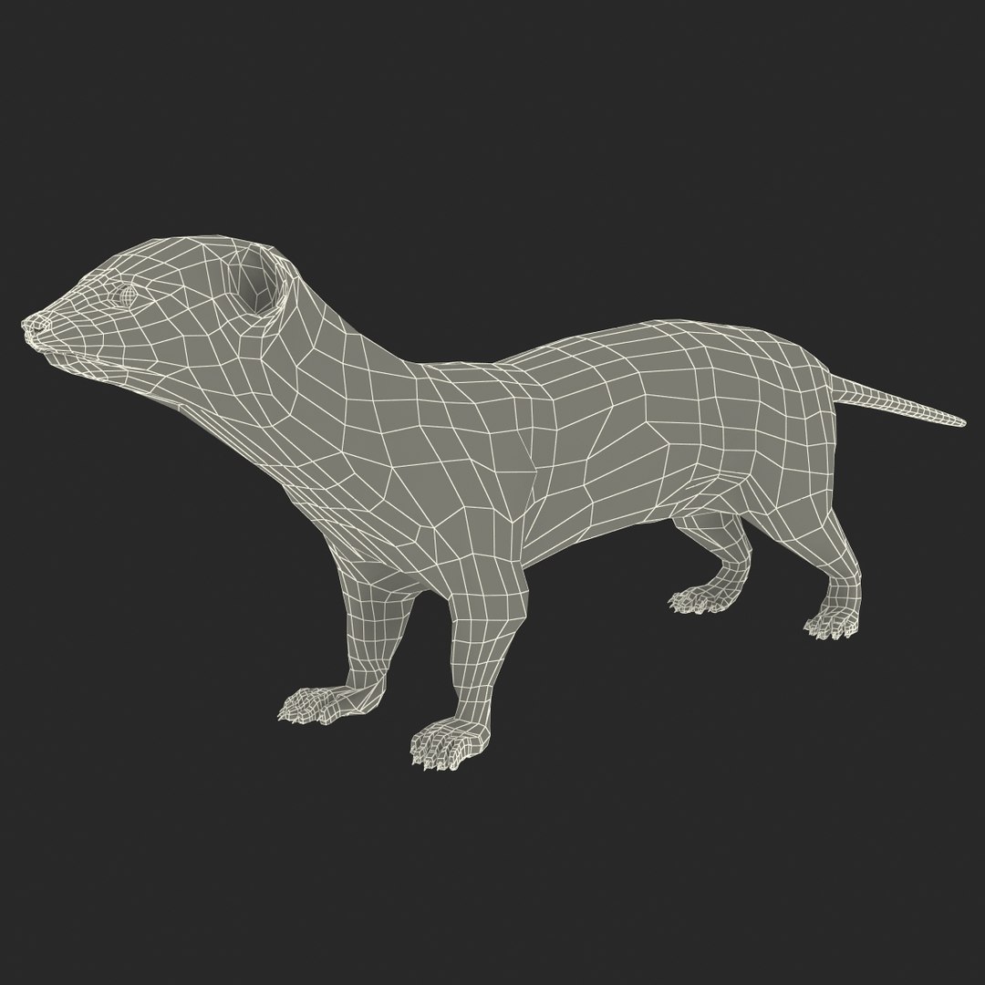 weasel 3d max