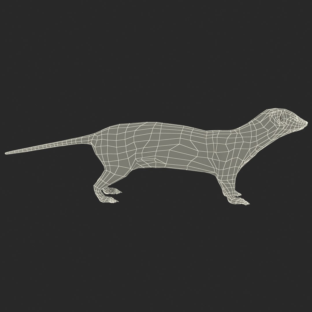 weasel 3d max
