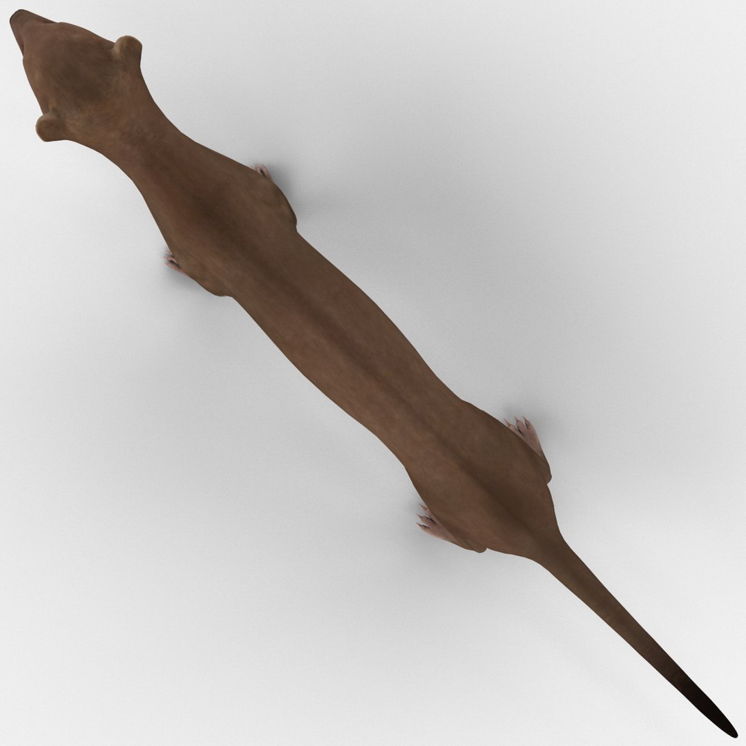 weasel 3d max