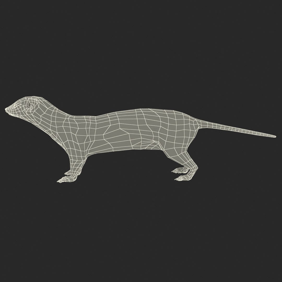Weasel 3d Max
