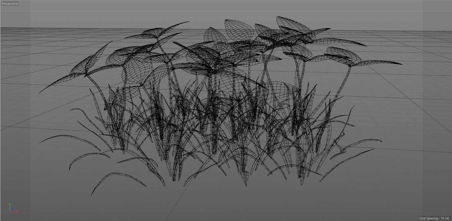 Grass Clover 3D Model - TurboSquid 1475657