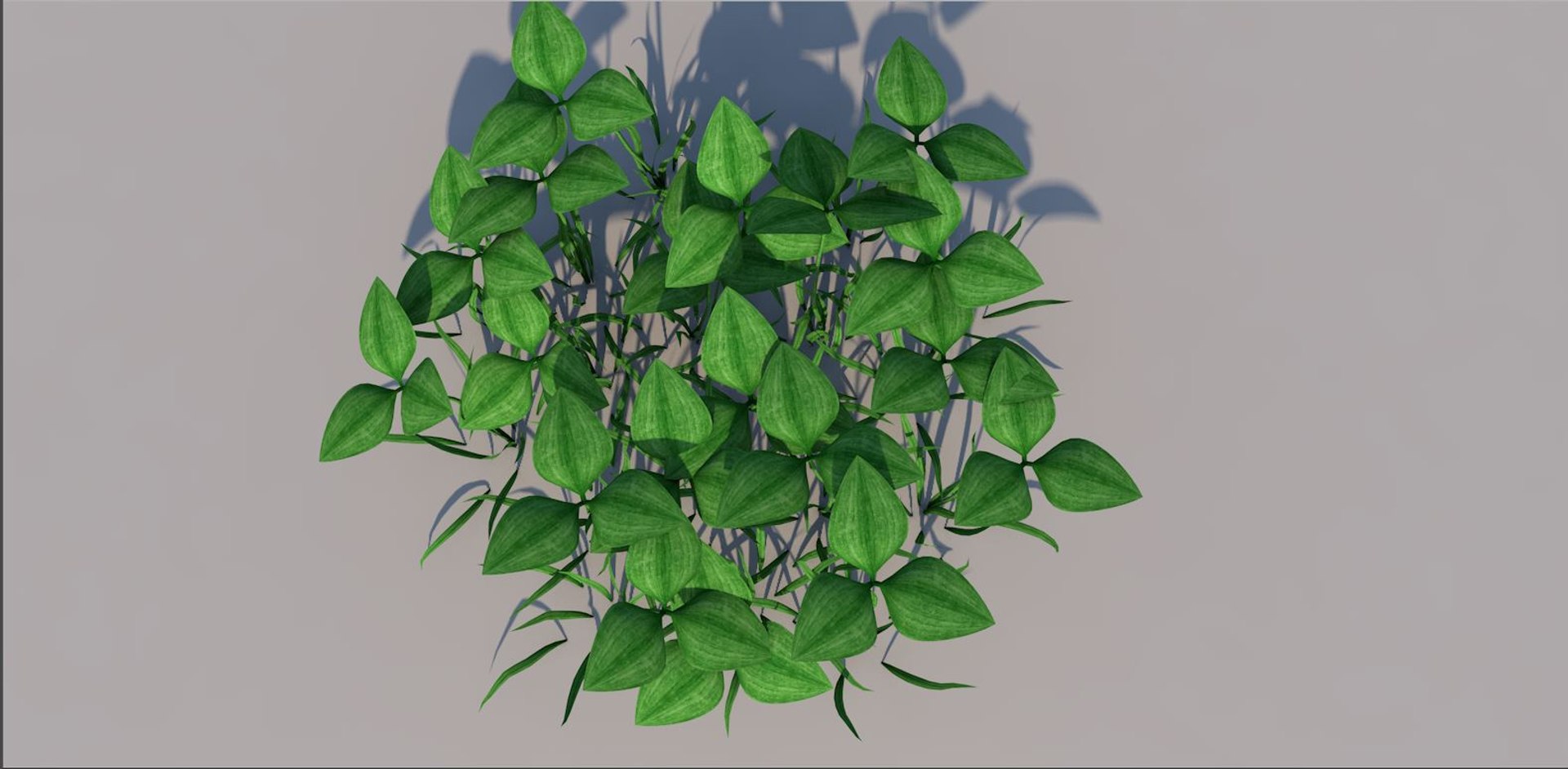 Grass Clover 3D Model - TurboSquid 1475657