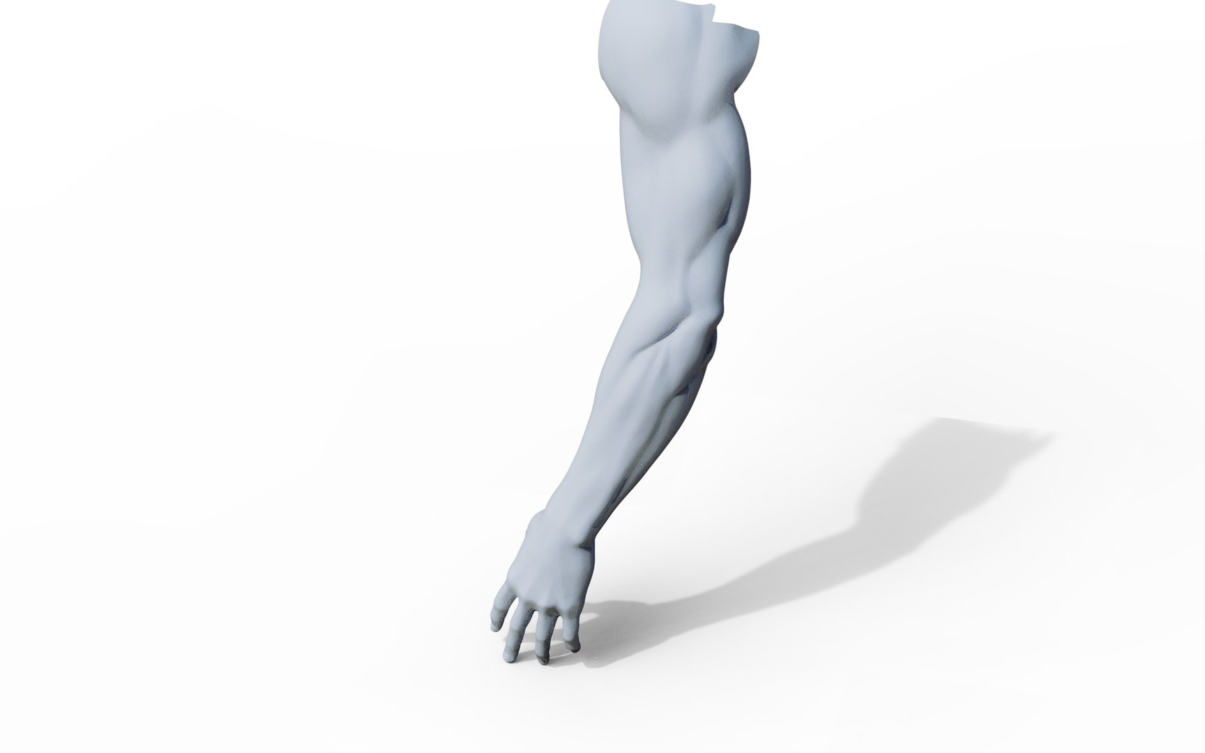 3D Arms Model - TurboSquid 1961006