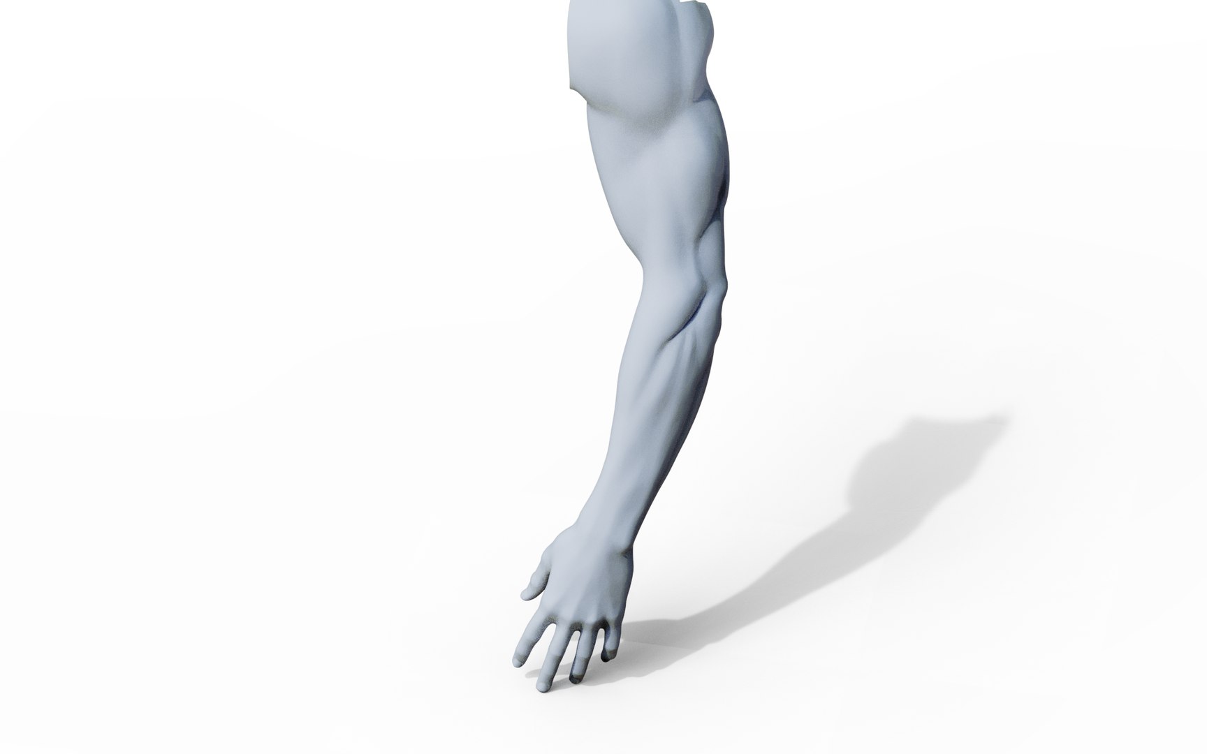 3D Arms Model - TurboSquid 1961006