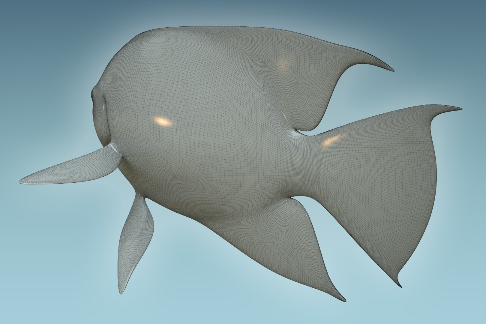 3D Angle Fish 18 - TurboSquid 1208444