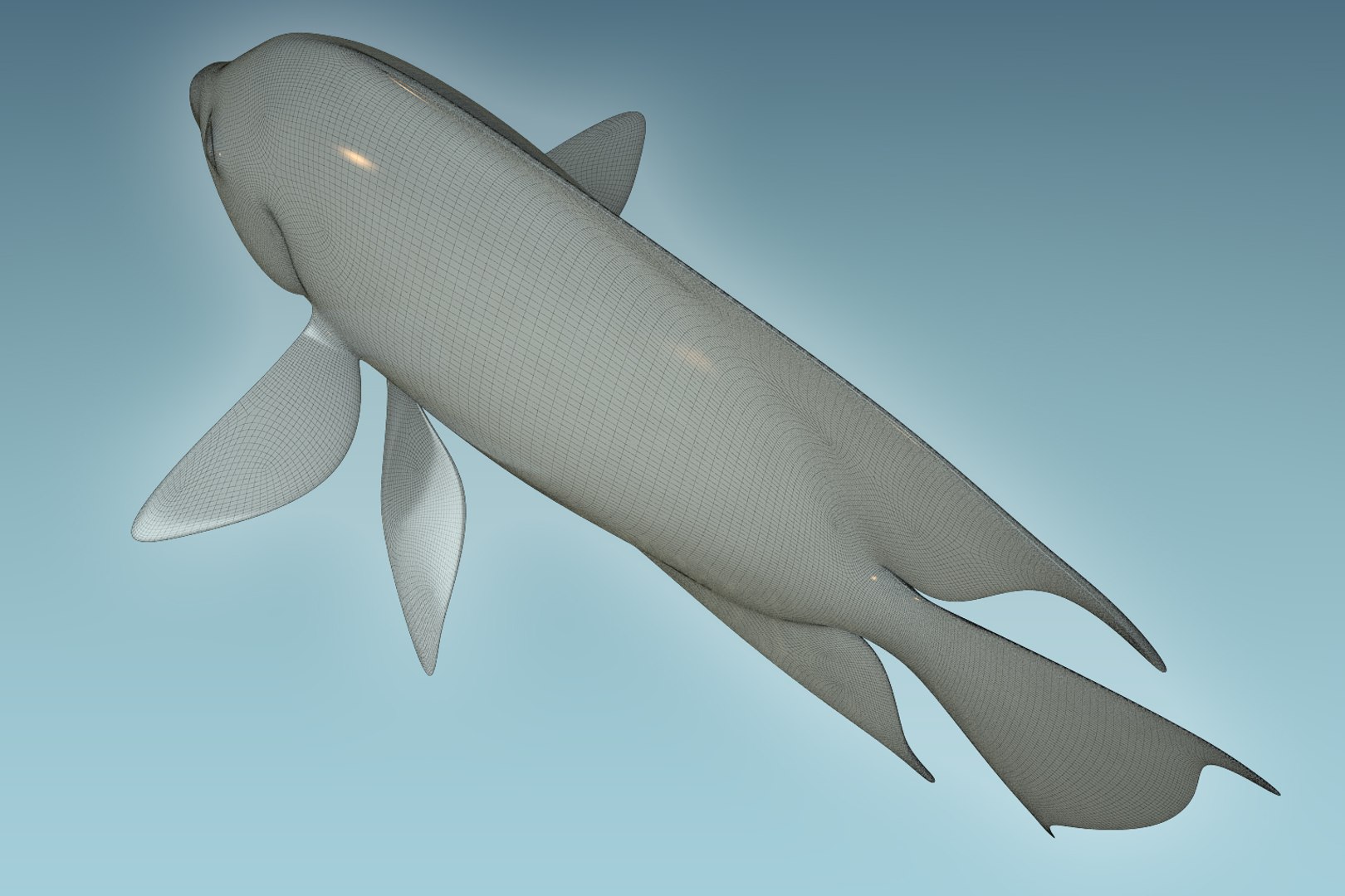3D Angle Fish 18 - TurboSquid 1208444