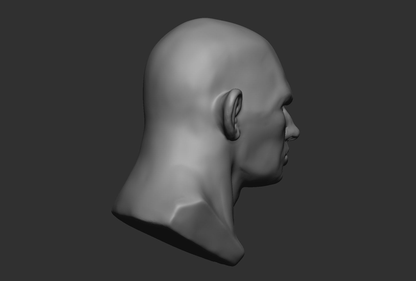 3D Male Head Base Mesh Model - TurboSquid 1835807