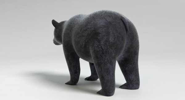 Realistic animals 3D model - TurboSquid 1176755