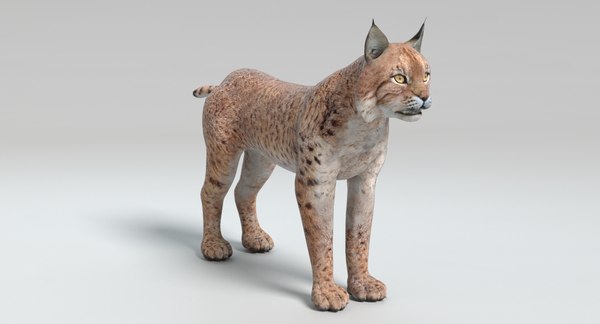 Realistic animals 3D model - TurboSquid 1176755