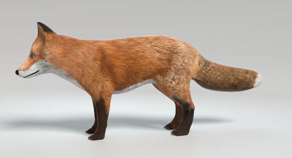 Realistic animals 3D model - TurboSquid 1176755