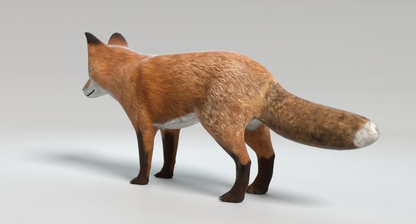 Realistic animals 3D model - TurboSquid 1176755