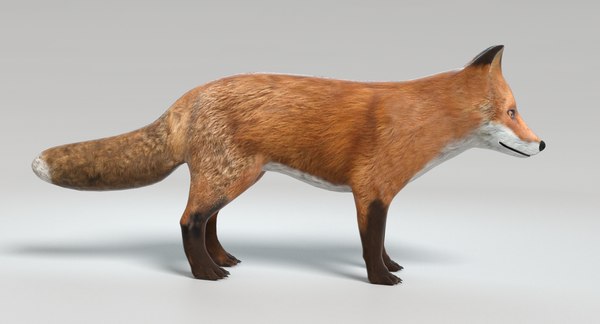 Realistic animals 3D model - TurboSquid 1176755