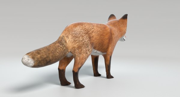 Realistic animals 3D model - TurboSquid 1176755