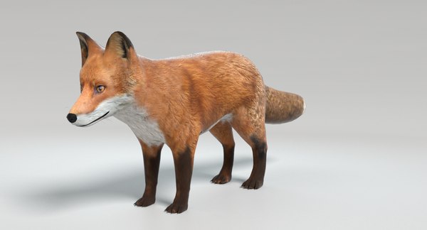 Realistic animals 3D model - TurboSquid 1176755