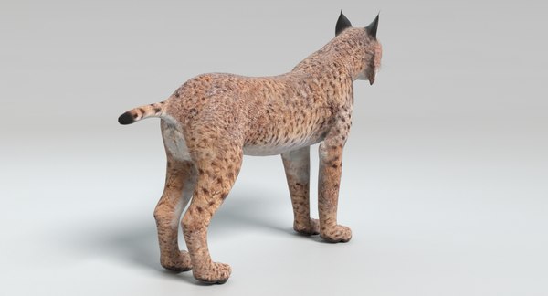 Realistic animals 3D model - TurboSquid 1176755