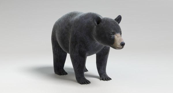 Realistic animals 3D model - TurboSquid 1176755