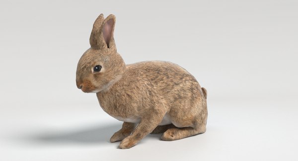 Realistic animals 3D model - TurboSquid 1176755