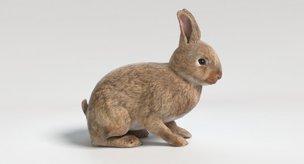 Realistic animals 3D model - TurboSquid 1176755