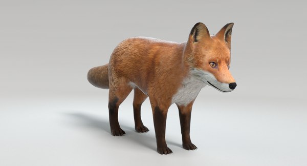 Realistic animals 3D model - TurboSquid 1176755