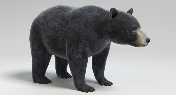 Realistic animals 3D model - TurboSquid 1176755